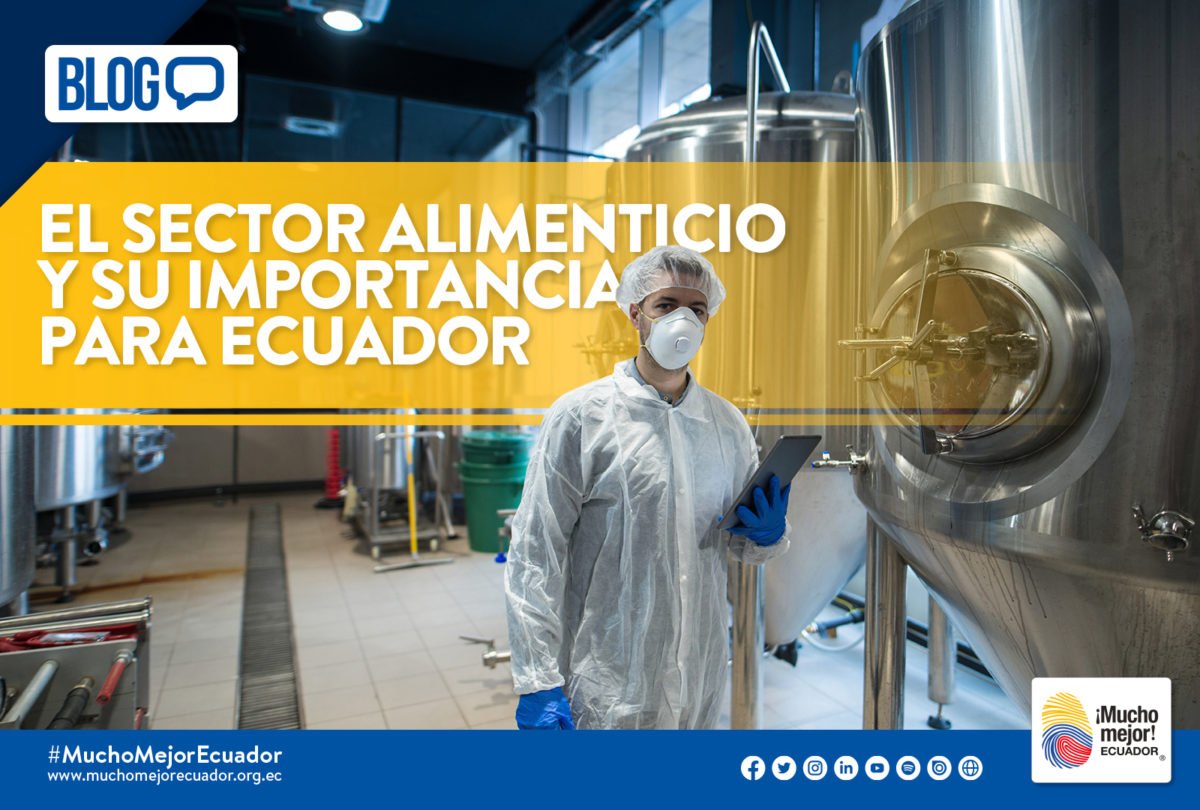 El sector alimenticio y su importancia para Ecuador | Mucho Mejor Ecuador