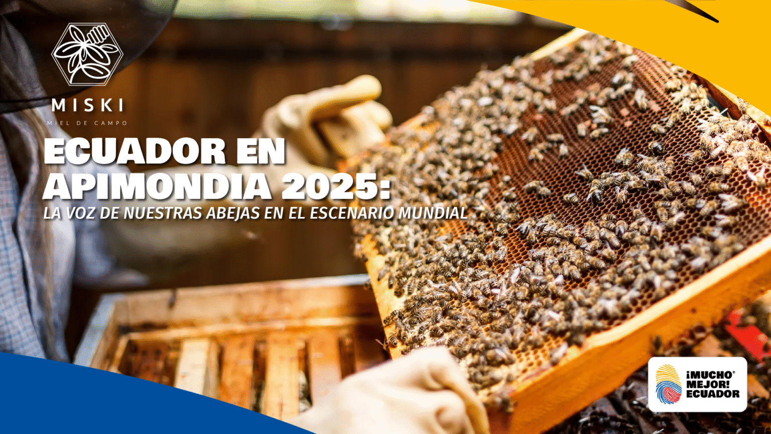 Apimondia 2025: La voz de nuestras abejas